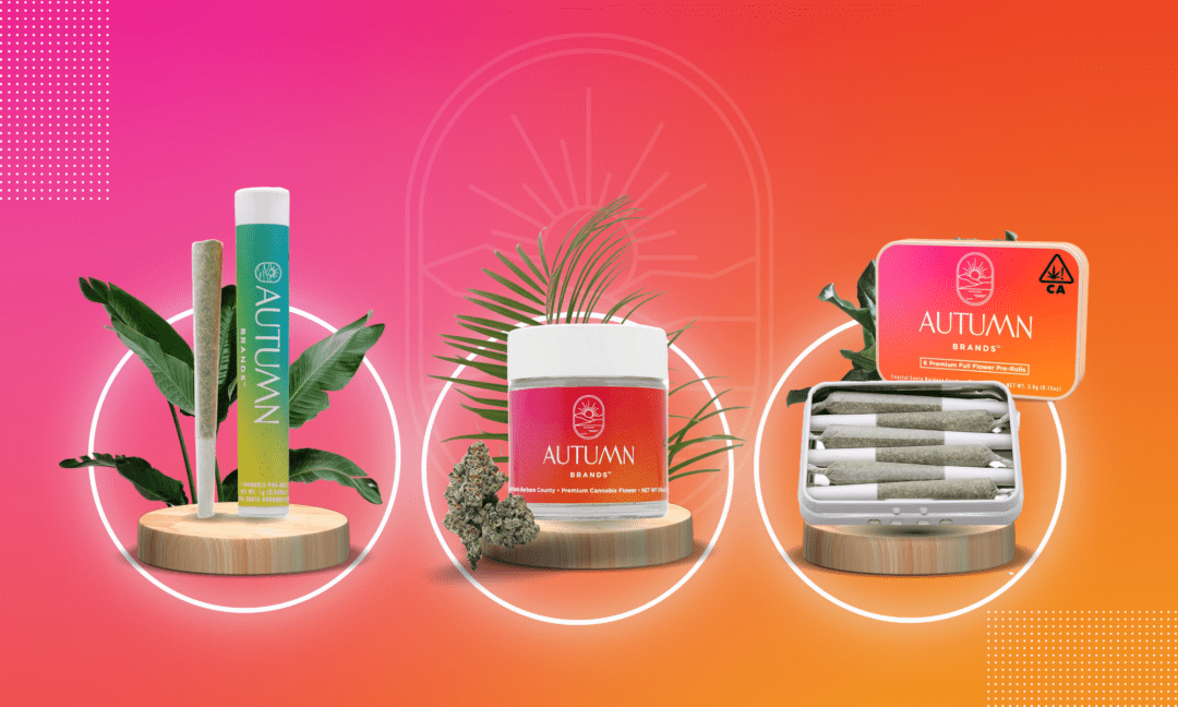 We Have a New Look | Autumn Brands