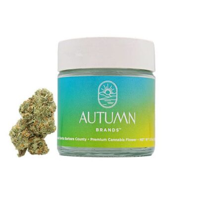 Jet Fuel Gelato Strain Overview | Autumn Brands