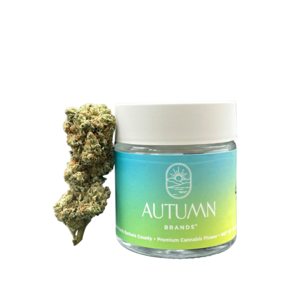 Shop the Mango Haze Strain | Autumn Brands